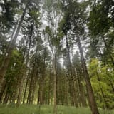 Mill End, Southend and Frieth Circular, Oxfordshire, England - 121 ...