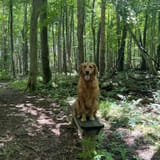 Genesee County Park and Forest Trail, New York - 284 Reviews, Map ...