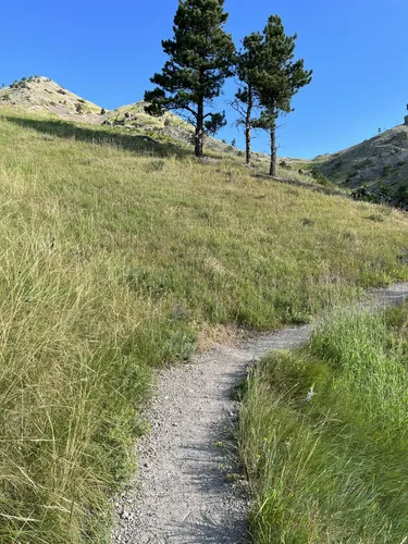 Best Hikes and Trails in Bear Butte State Park | AllTrails