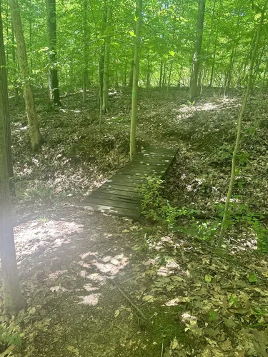 10 Best Hikes and Trails in East Fork State Park | AllTrails