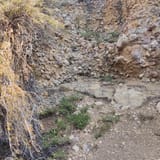 Maple Canyon Loop Trail , Utah - 197 Reviews, Map | AllTrails