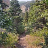 Maple Canyon Loop Trail , Utah - 197 Reviews, Map | AllTrails