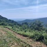 Black Ridge Trail, Virginia - 583 Reviews, Map | AllTrails