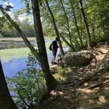 Tarrywile Park Trail, Connecticut - 619 Reviews, Map | AllTrails