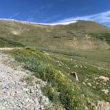 Jones Pass via Jones Pass Road, Colorado - 418 Reviews, Map | AllTrails