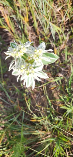Best Hikes and Trails in Pease Creek Recreation Area | AllTrails