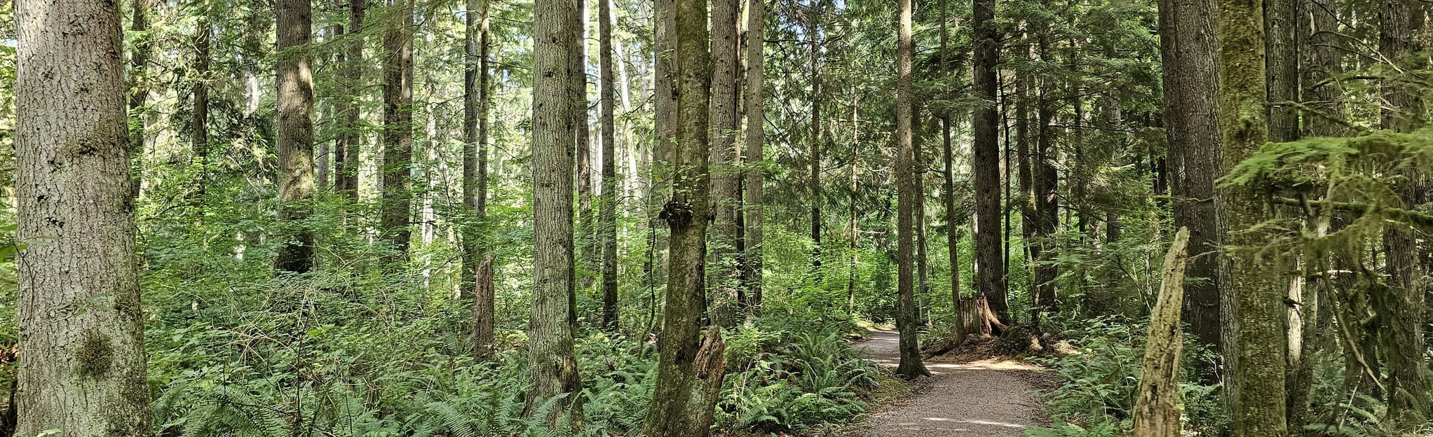 Redmond Ridge, East Branch, and Nuthatch Loop, Washington - 31 Reviews ...