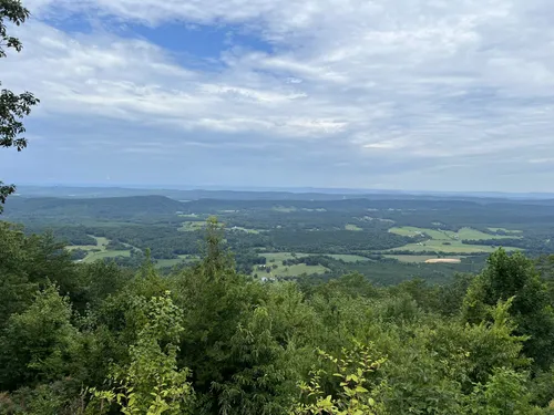 Best Hikes and Trails in Johns Mountain Wildlife Management Area ...