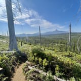 Square Lake, Oregon - 255 Reviews, Map | AllTrails
