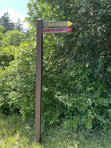 Best Hikes and Trails in Five Rivers Environmental Education Center ...