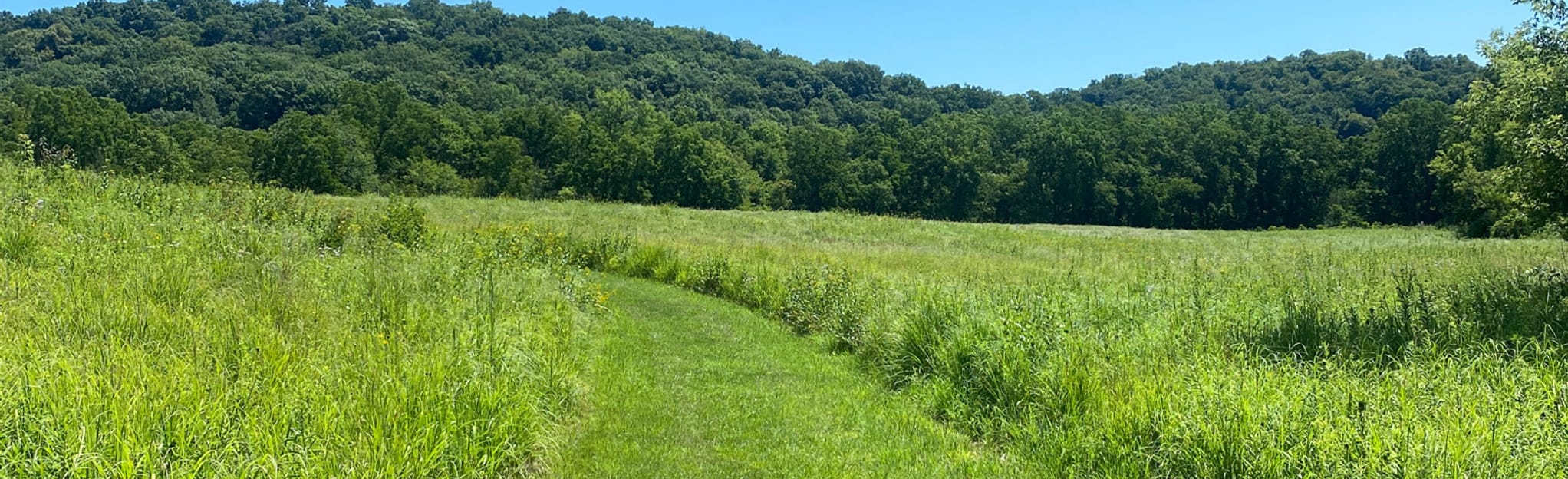 Walnut Trail, Illinois - 67 Reviews, Map | AllTrails