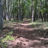 Batona Trail, New Jersey - 322 Reviews, Map | AllTrails