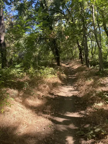 Best Hikes and Trails in Anderson River Park | AllTrails