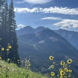 Engineer Mountain Trail, Colorado - 346 Reviews, Map | AllTrails