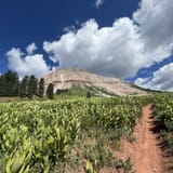 Engineer Mountain Trail, Colorado - 346 Reviews, Map | AllTrails