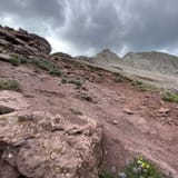 Engineer Mountain Trail, Colorado - 346 Reviews, Map | AllTrails