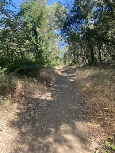 Best Hikes and Trails in Anderson River Park | AllTrails