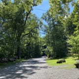 Forbidden Drive, Pennsylvania - 702 Reviews, Map | AllTrails