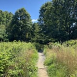 Forbidden Drive, Pennsylvania - 702 Reviews, Map | AllTrails