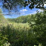 Cato's Ridge, Massachusetts - 517 Reviews, Map | AllTrails