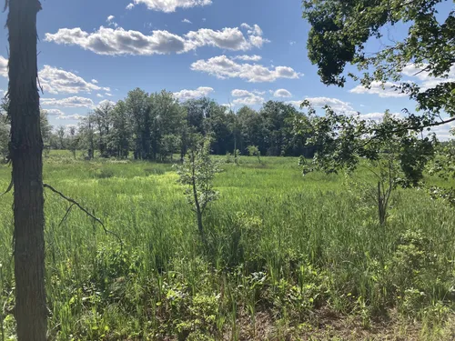 Best Hikes and Trails in Great Swamp National Wildlife Refuge | AllTrails