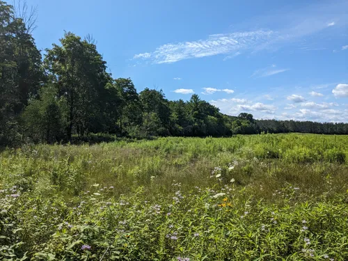 10 Best Trails and Hikes in Brantford | AllTrails