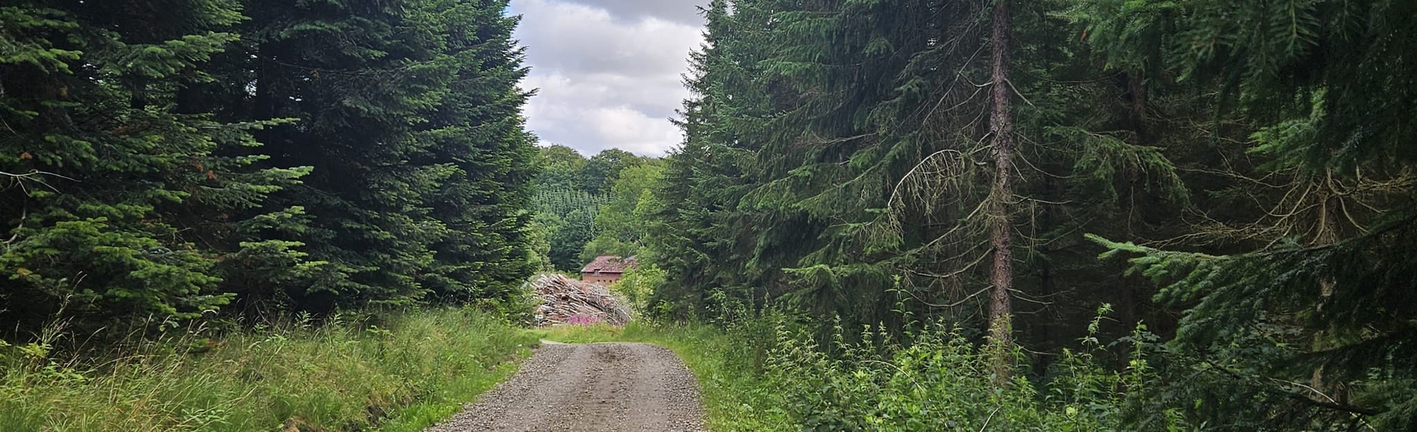 Hadsten - Pøt Mølle: 14 Fotos - Region Mitteljütland, Dänemark ...