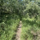 Empire Mine via Samelius Trailhead, South Dakota - 309 Reviews, Map ...