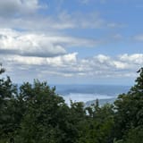 Big Tree Ridge Trail, Washington - 481 Reviews, Map | AllTrails