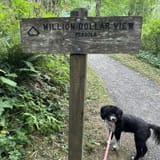Big Tree Ridge Trail, Washington - 481 Reviews, Map | AllTrails