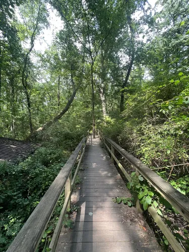 Best Hikes and Trails in Signal Point Park | AllTrails