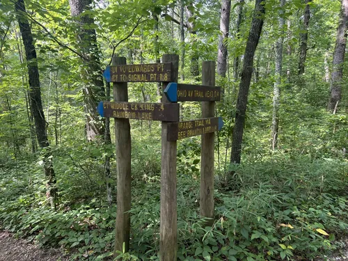 Best Hikes and Trails in Signal Point Park | AllTrails