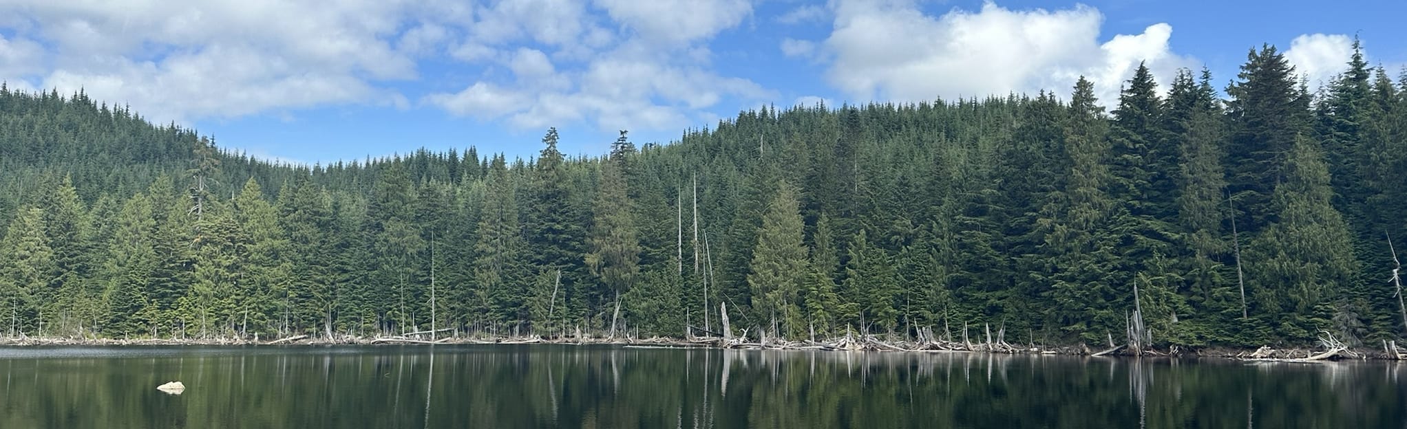 Cypress Lake Trail: 442 foto's - Brits-Columbia, Canada | Wandelen ...