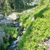 Seven Devils Loop, Idaho - 122 Reviews, Map | AllTrails