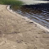 Carbuncle Pond and Moosup River Trail, Rhode Island - 261 Reviews, Map ...