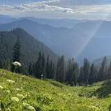 Tatoosh Ridge Trail, Washington - 342 Reviews, Map | AllTrails