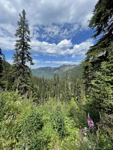 10 Best Trails and Hikes in Kalispell | AllTrails