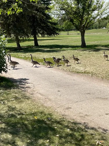 2023 Best Historic Site Trails in Meewasin Valley Authority | AllTrails