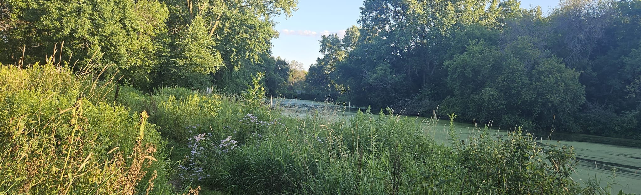 Southwood Nature Preserve Trail, Minnesota - 18 Reviews, Map | AllTrails