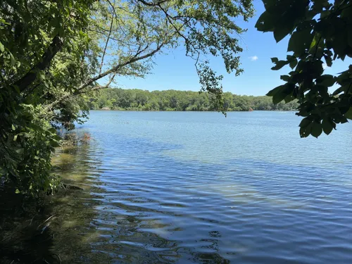 2023 Best Wildlife Trails in Spring Lake Park | AllTrails