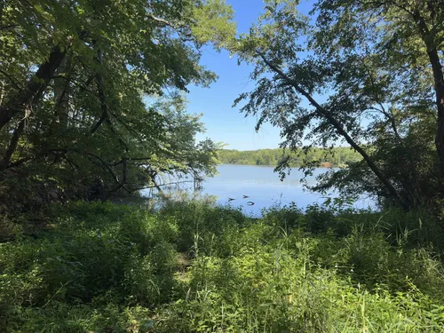 2023 Best Wildlife Trails in Spring Lake Park | AllTrails