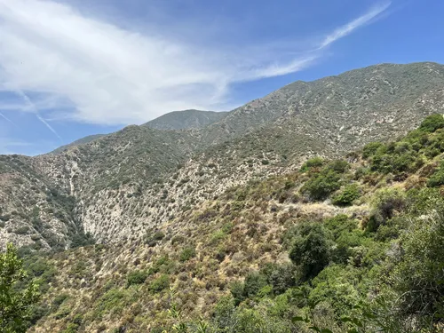10 Best Trails and Hikes in Altadena | AllTrails