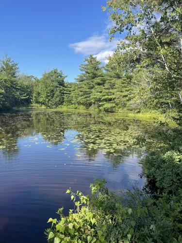 Best Hikes and Trails in Blue Job Mountain State Forest | AllTrails