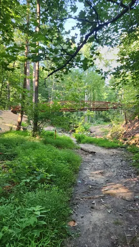 Best Hikes and Trails in Lake Ridge Community Park | AllTrails