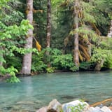 Baker River Trail, Washington - 237 Reviews, Map | AllTrails