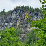 Baker River Trail, Washington - 237 Reviews, Map | AllTrails
