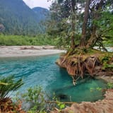 Baker River Trail, Washington - 237 Reviews, Map | AllTrails