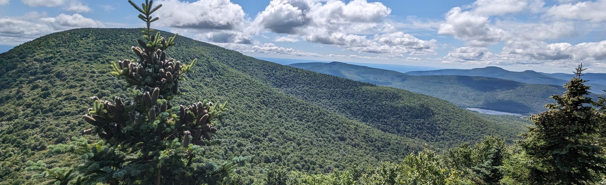 Black Dome and Thomas Cole Mountain via Batavia Kill Trail: 3.265 foto ...
