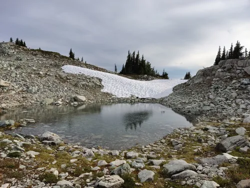 Best Hikes and Trails in Callaghan Lake Provincial Park | AllTrails