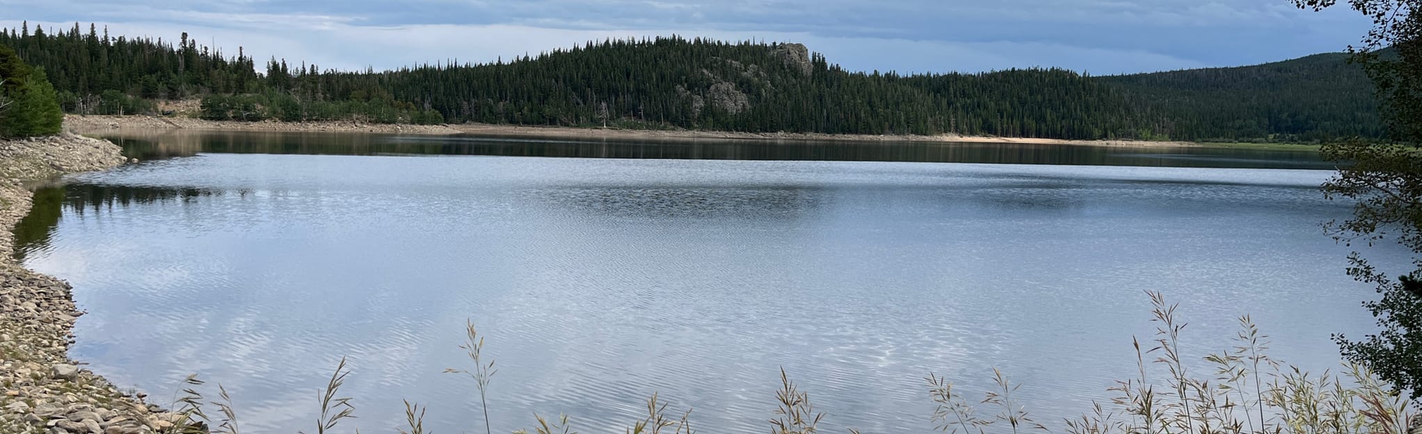 Middle St Vrain Trail and Coney Creek OHV Trail: 93 Reviews, Map ...